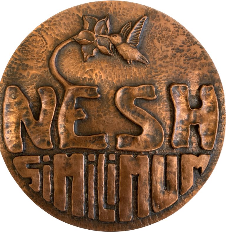 All NESH Course Offerings with Drs. Herscu & Rothenberg: Study ...